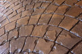 Cobble Concrete Stamps - Roman Fan